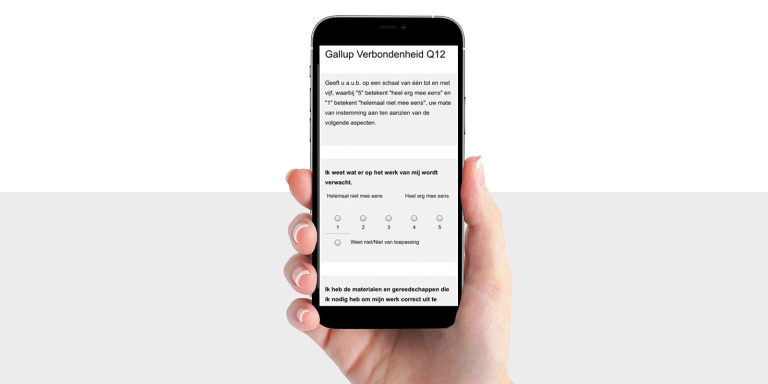 Gallup Q12 en performance-verbetering - Leeuwendaal